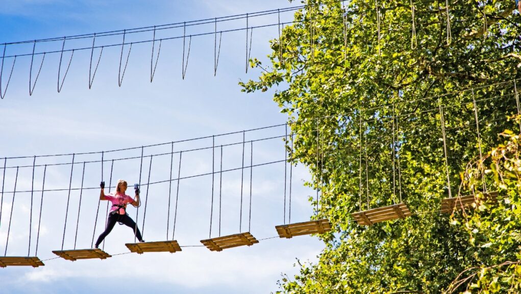 Plans submitted for visitors to Go Ape in country park | STV News