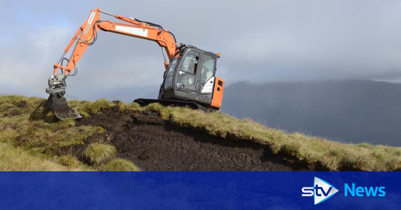Co-op reveals three-year partnership with RSPB to restore Scottish and ...