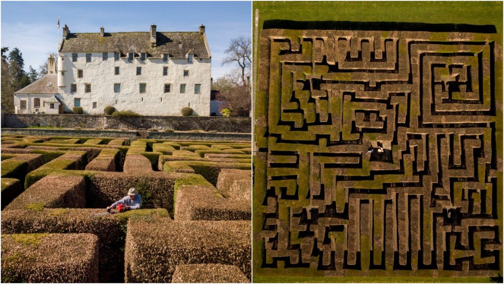 Scotland's largest maze set to reopen as Covid rules ease - STV News