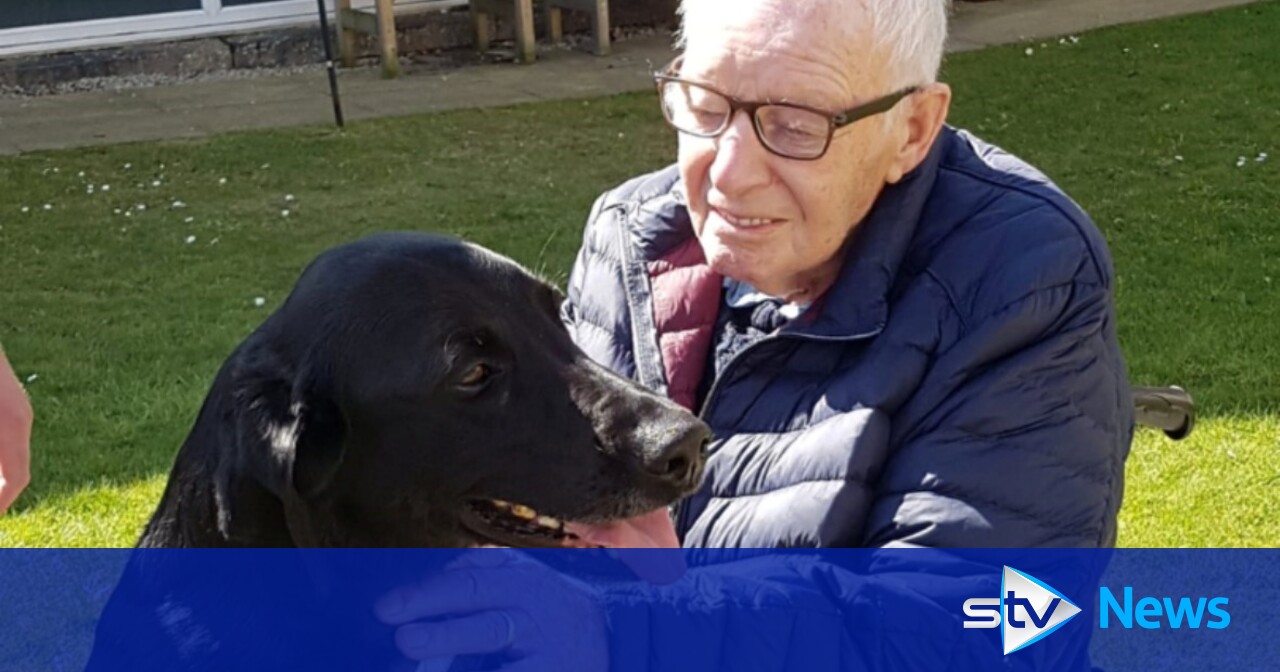 Great-grandad reunited with Labrador after year apart | STV News