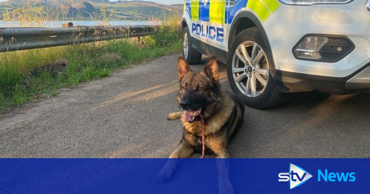 Police dog tracks suspect, sniffs out shed thief - on first shift | STV ...