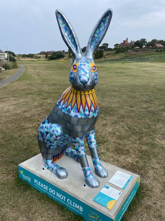 In pictures: Giant colourful hares on the loose | STV News