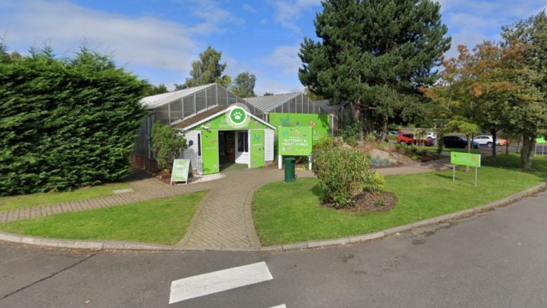Edinburgh Butterfly and Insect World to close permanently | STV News