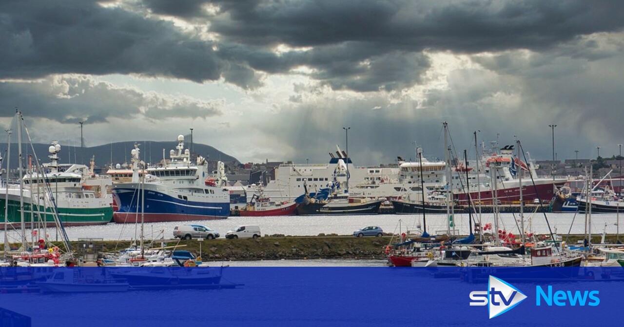 Dog put down after attacking two people at Lerwick ferry terminal | STV ...