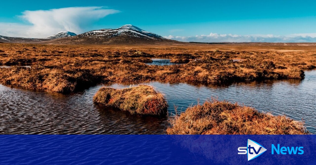 Satellite technology used to monitor how bogs ‘breathe’ | STV News