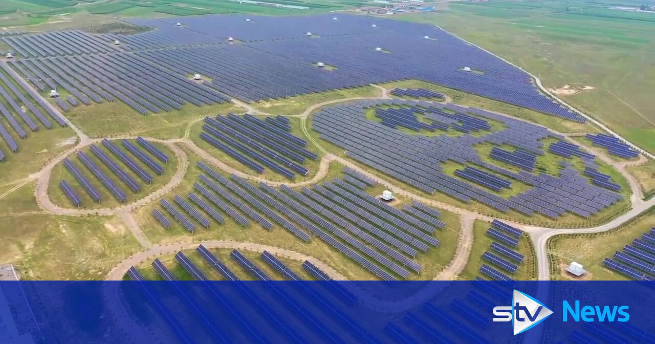 Panda power: Solar station built in shape of animal | STV News