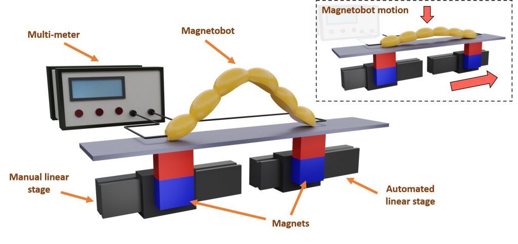 Scottish engineers create stretchy and 'sensing' robot worms | STV News