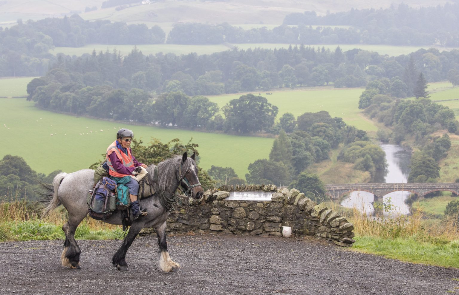 Pensioner sets off on 600-mile pony trek with pet dog in saddlebag ...