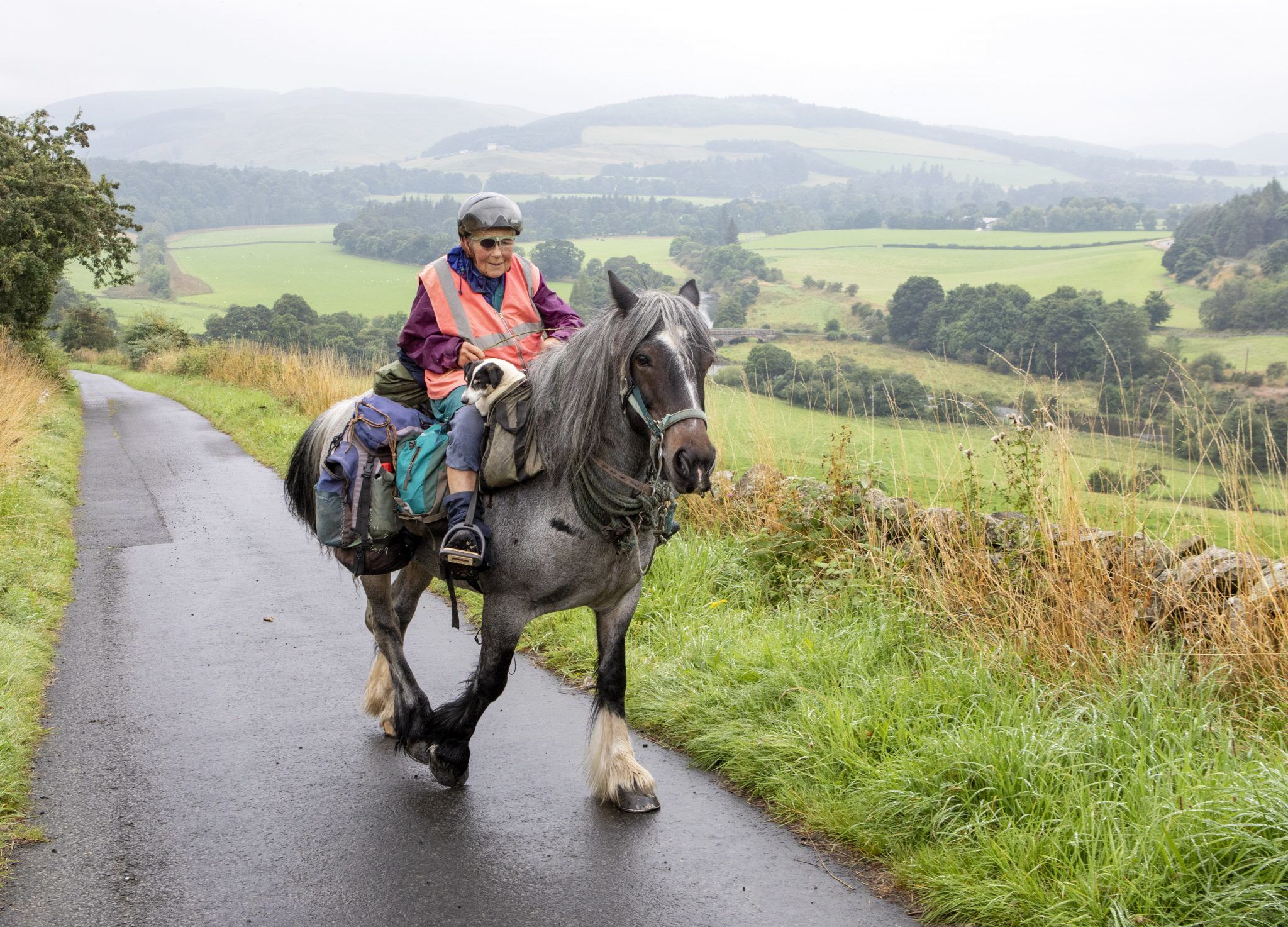 Pensioner sets off on 600-mile pony trek with pet dog in saddlebag ...