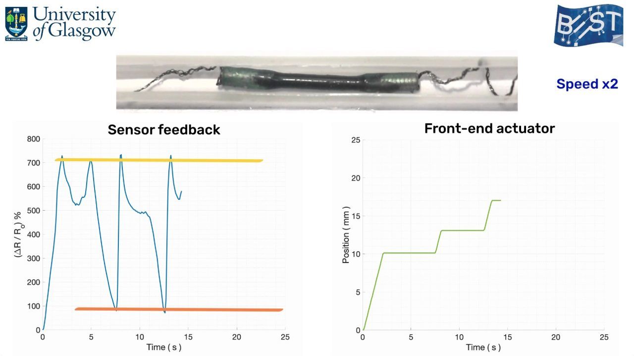 Scottish engineers create stretchy and 'sensing' robot worms | STV News