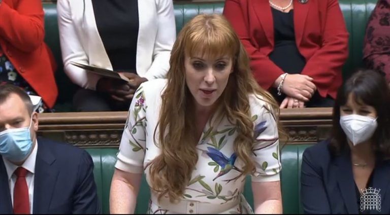 INSIGHT: Angela Rayner story proves the dinosaurs are not extinct after ...