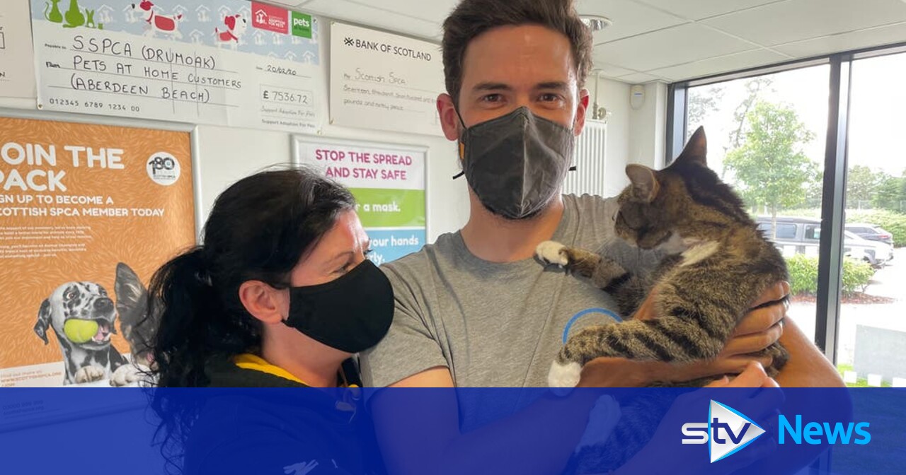 Owners reunited with cat which went missing ten years ago | STV News
