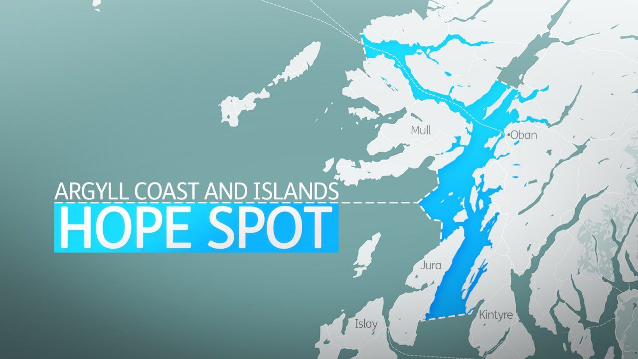 'Hope Spot' is Scotland's answer to the Great Barrier Reef | STV News