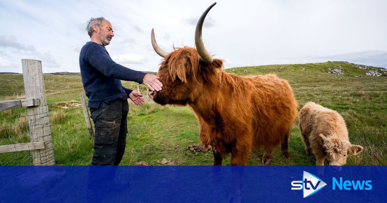 Call for changes at Crofting Commission after 'breakdown in trust ...