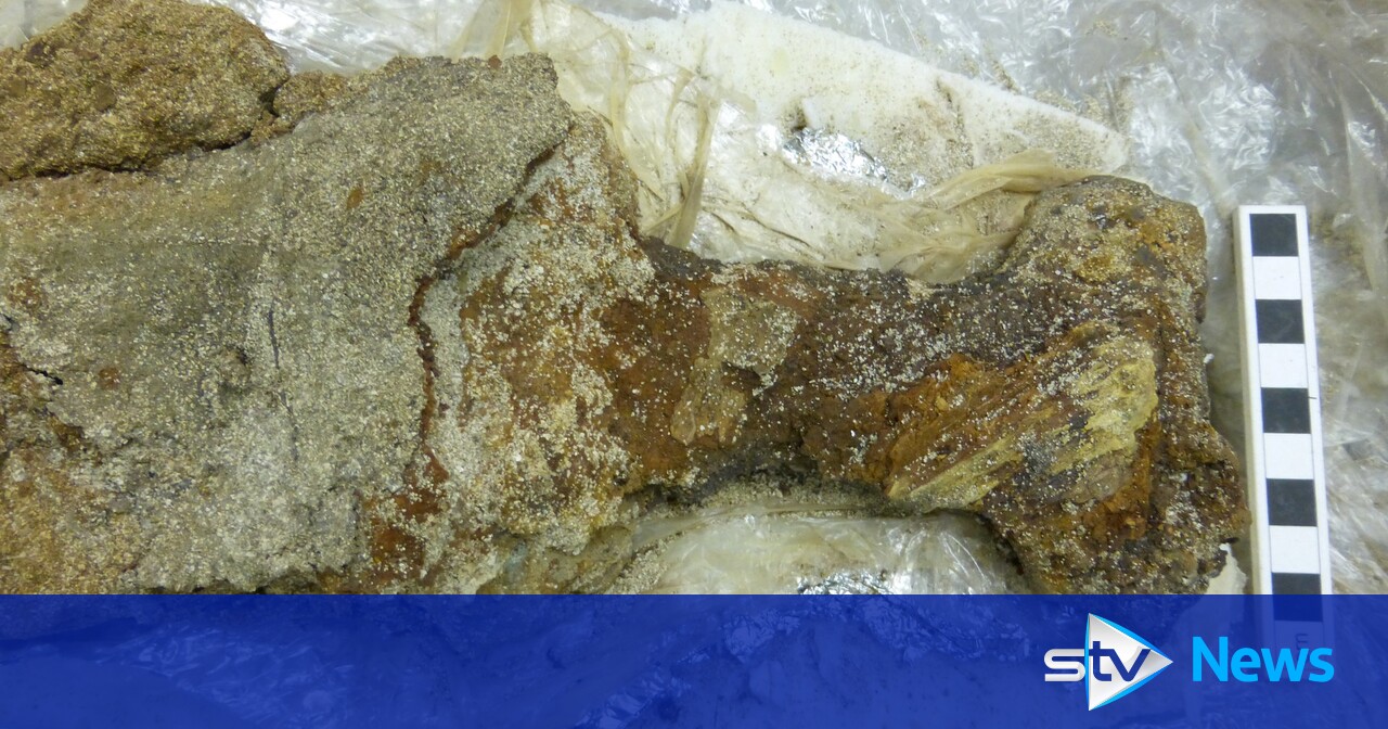 Viking sword found at burial site dates back to ninth century | STV News