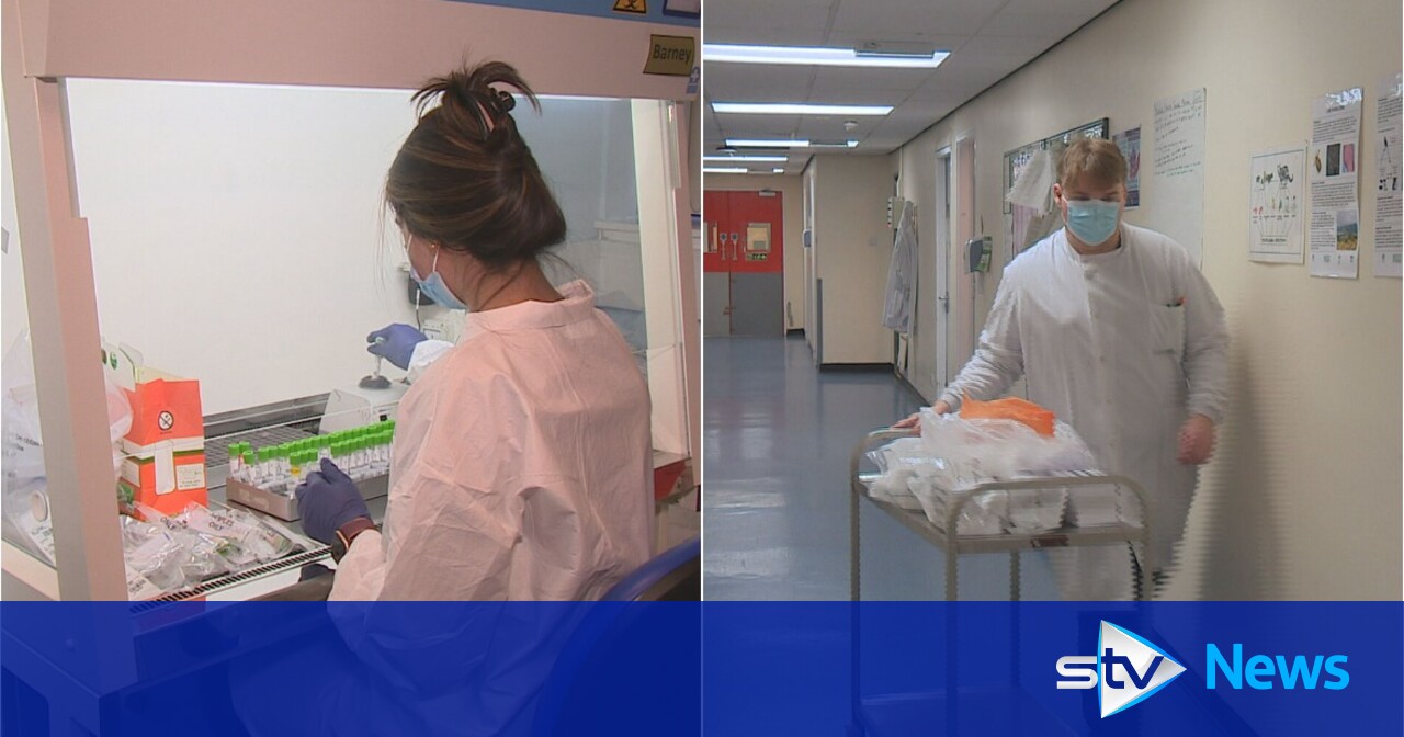 Highland lab experts help shape Covid decision-making across Scotland ...