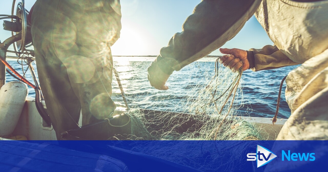Boats barred from Clyde for three months 'in bid to boost fish stocks ...