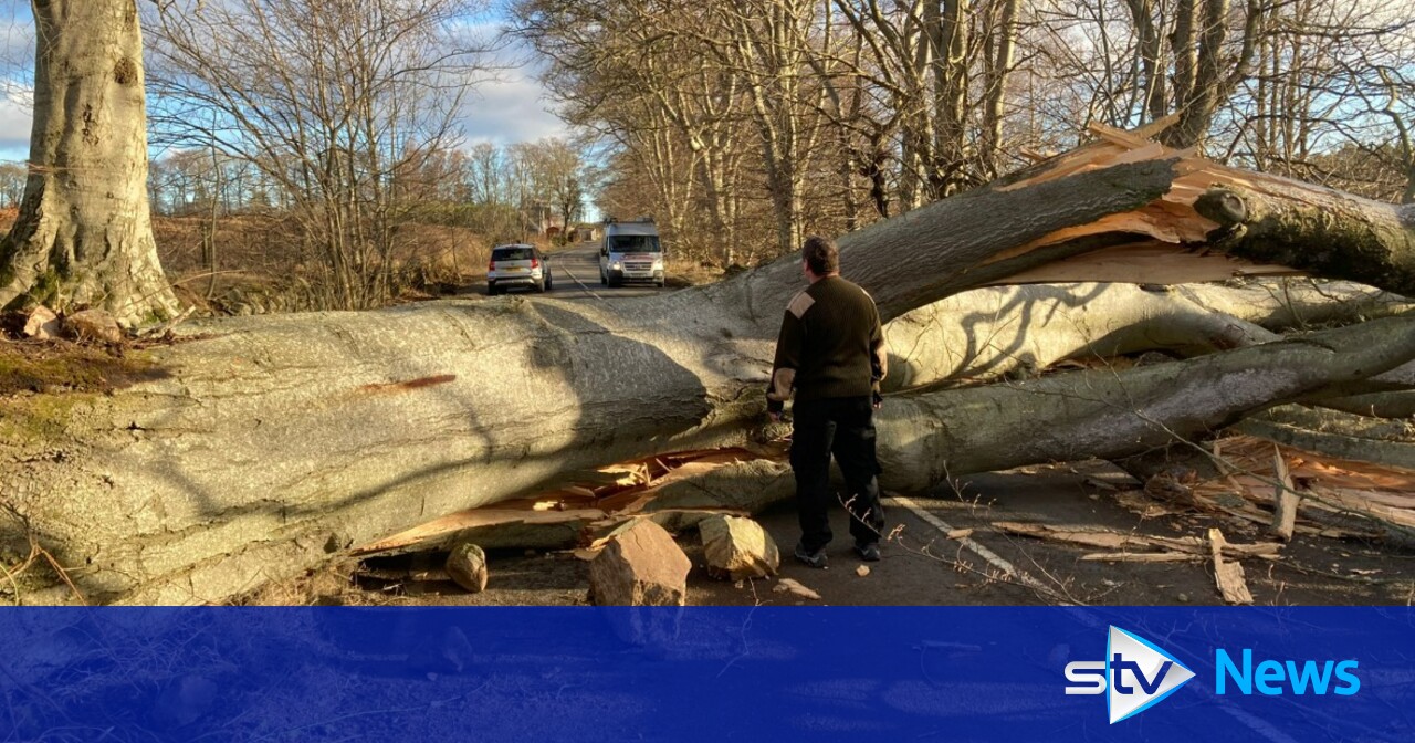 Wind gust of 147mph recorded as Storm Malik causes travel chaos | STV News