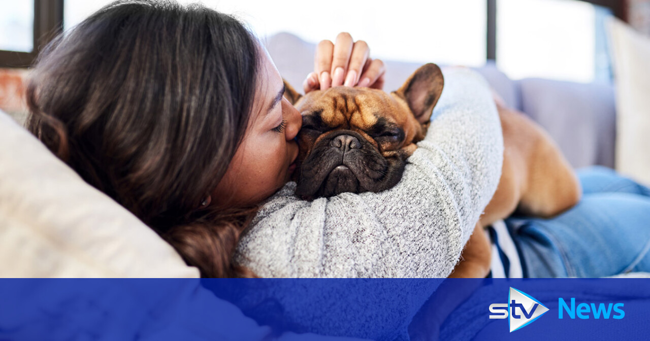 Energy firm sorry for telling customers to ‘cuddle pets’ to keep warm ...
