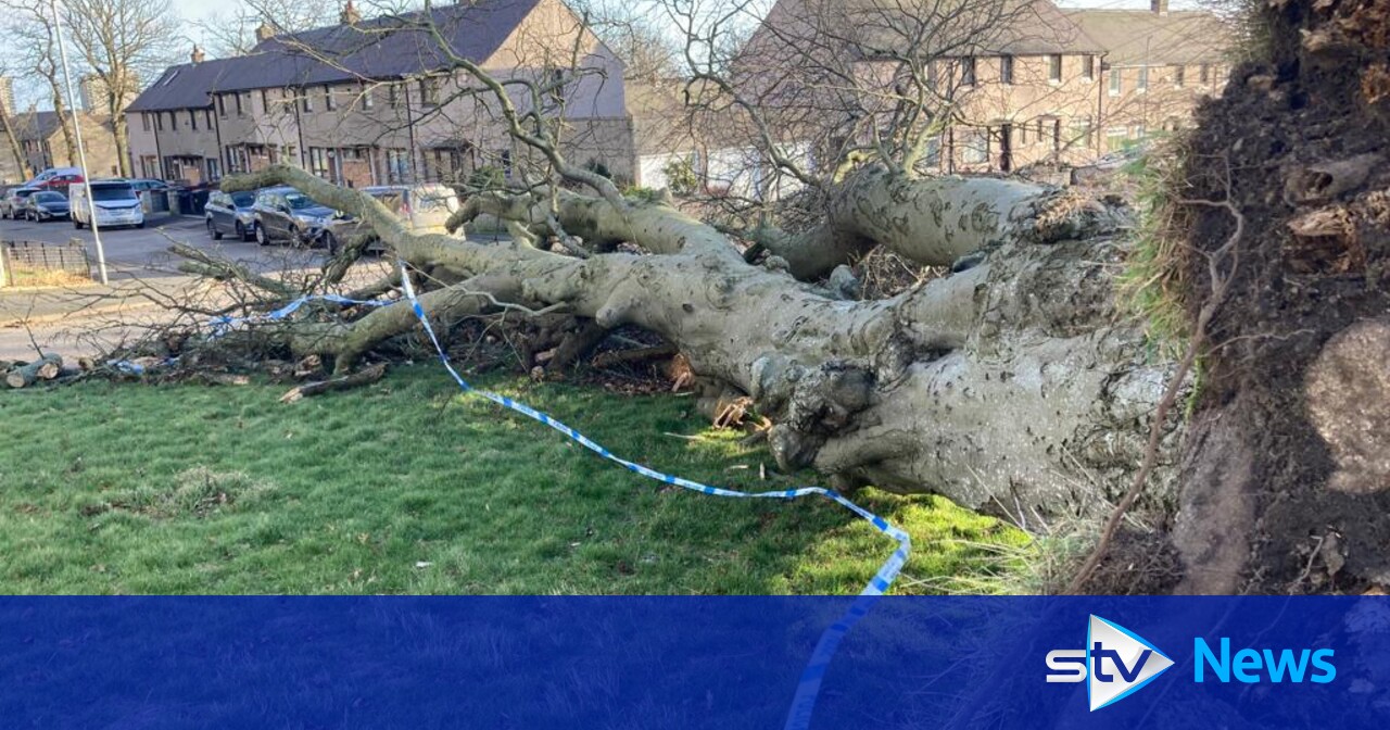 Power cuts may last all weekend as second storm batters Scotland | STV News