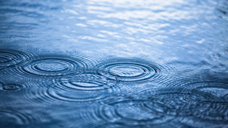 Sean Batty - STV News