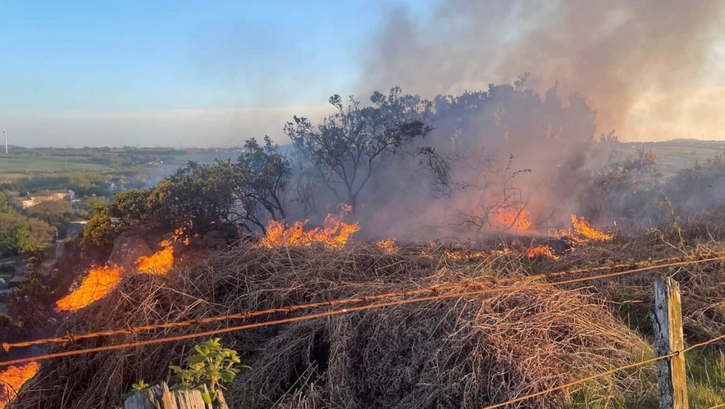 Smoke billows from farm as firefighters tackle wildfire blaze | STV News