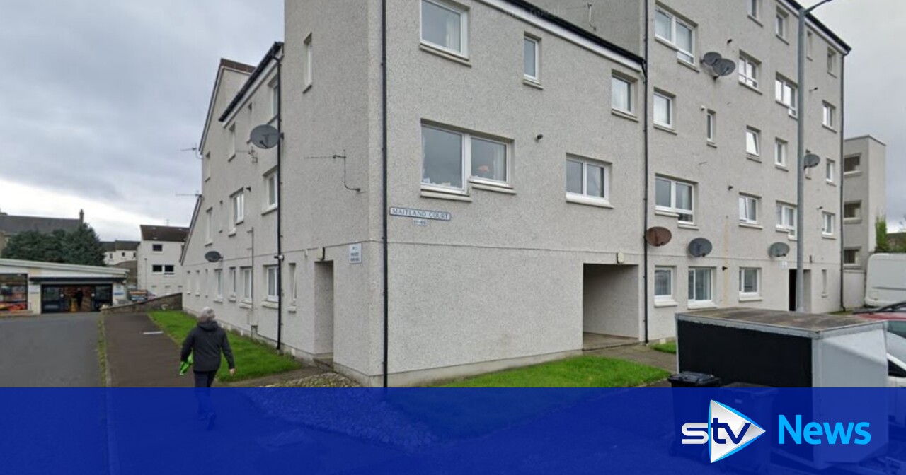 Woman injured in hospital after window fall from Maitland Court ...
