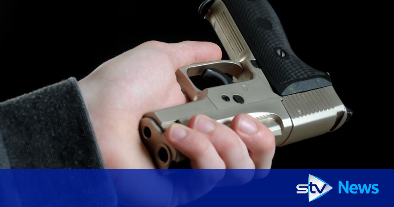Firearms licensing to be examined in Scotland by MPs at Scottish ...