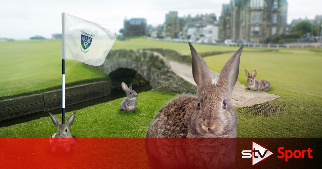 The Open: 'Rabbit Wars' nearly stopped St Andrews becoming the home of ...