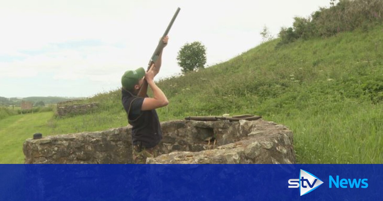 Game bird shooting: Brexit and bird flu blamed for egg and chick ...