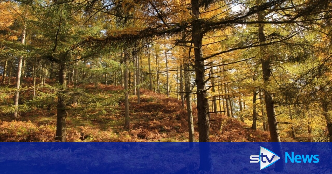 Sean Batty: It's windy and warm in Scotland, so what's going on with ...