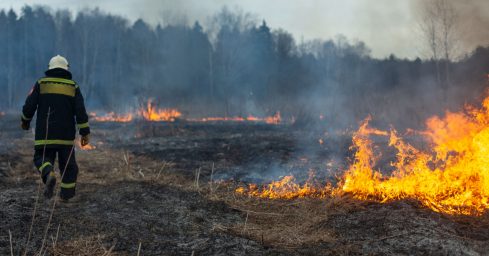 The Beano rename Fatty and Spotty from Bash Street Kids and introduce ...