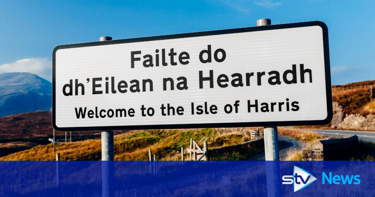 Public to be asked for views on creating future for Gaelic and Scots ...