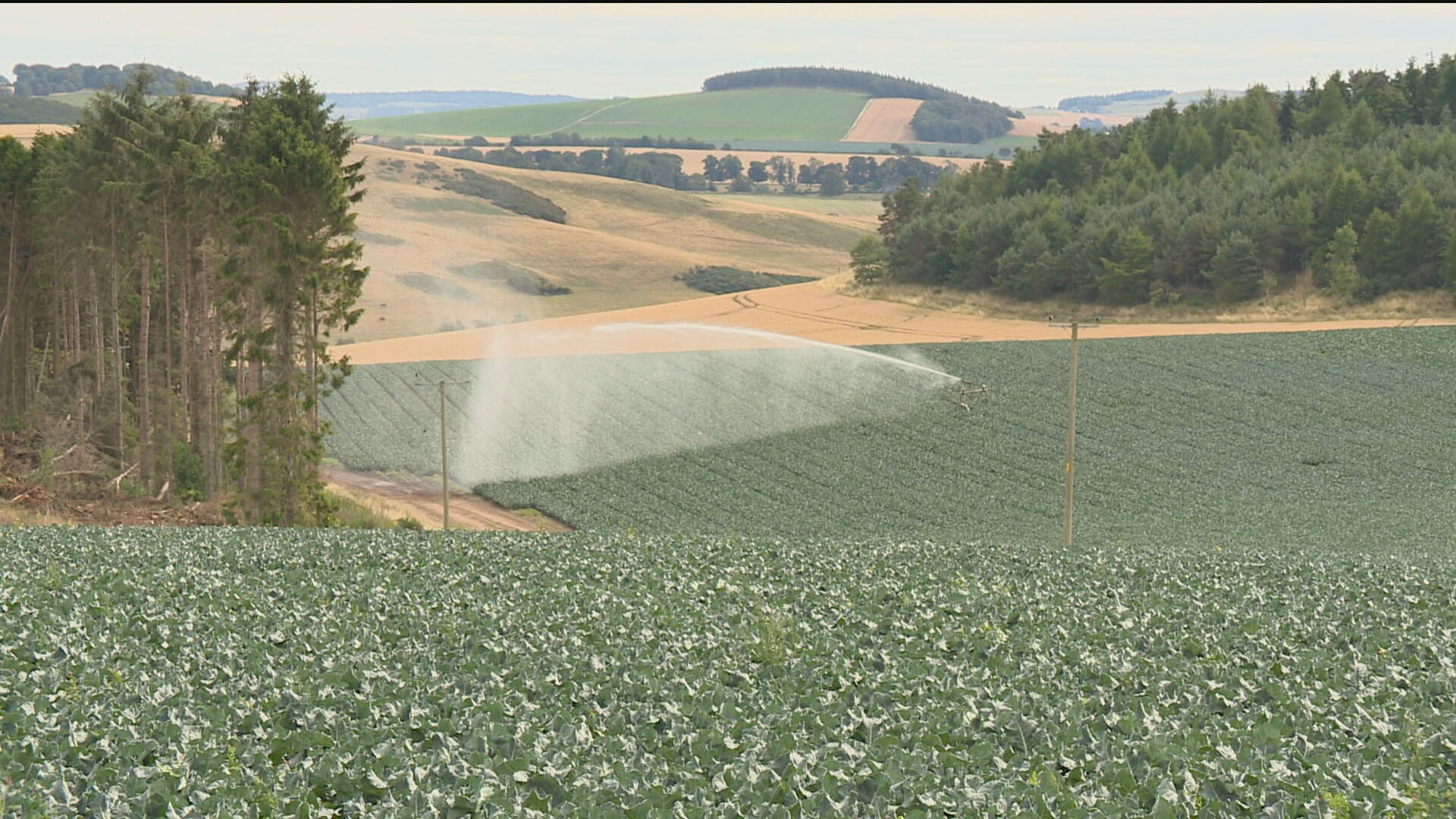 Latest Edinburgh & East News | Page 2 of 191 | STV News