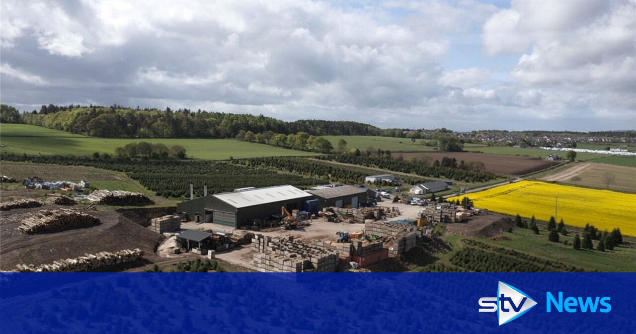 Thriving Angus family-owned Christmas tree farm goes on sale for ...