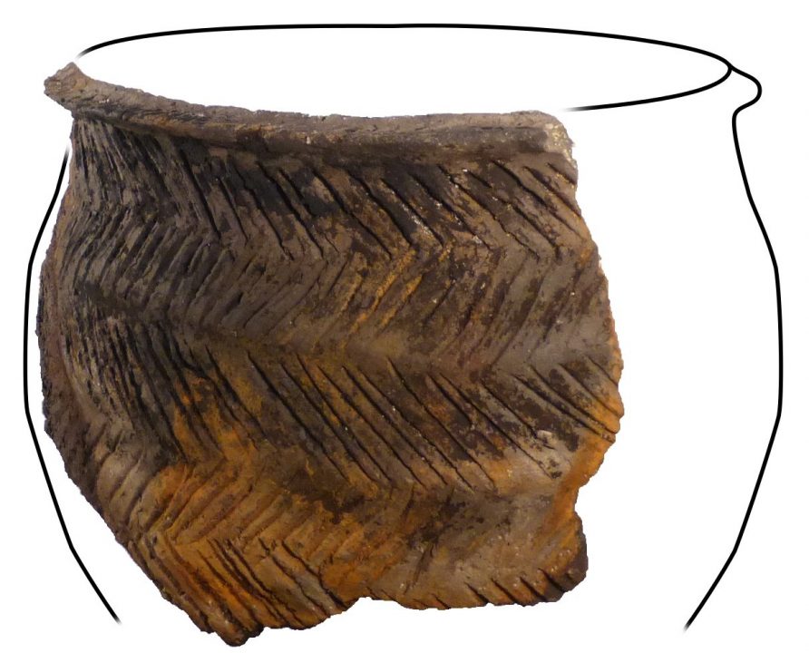Evidence Scots ate porridge 5,000 years ago uncovered by University of ...