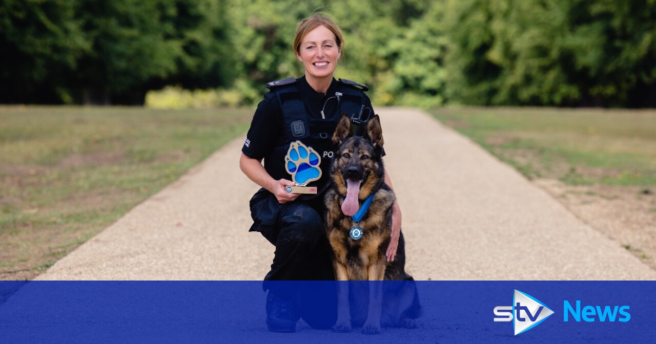 Retired police dog Luna awarded national honour for saving lives in ...