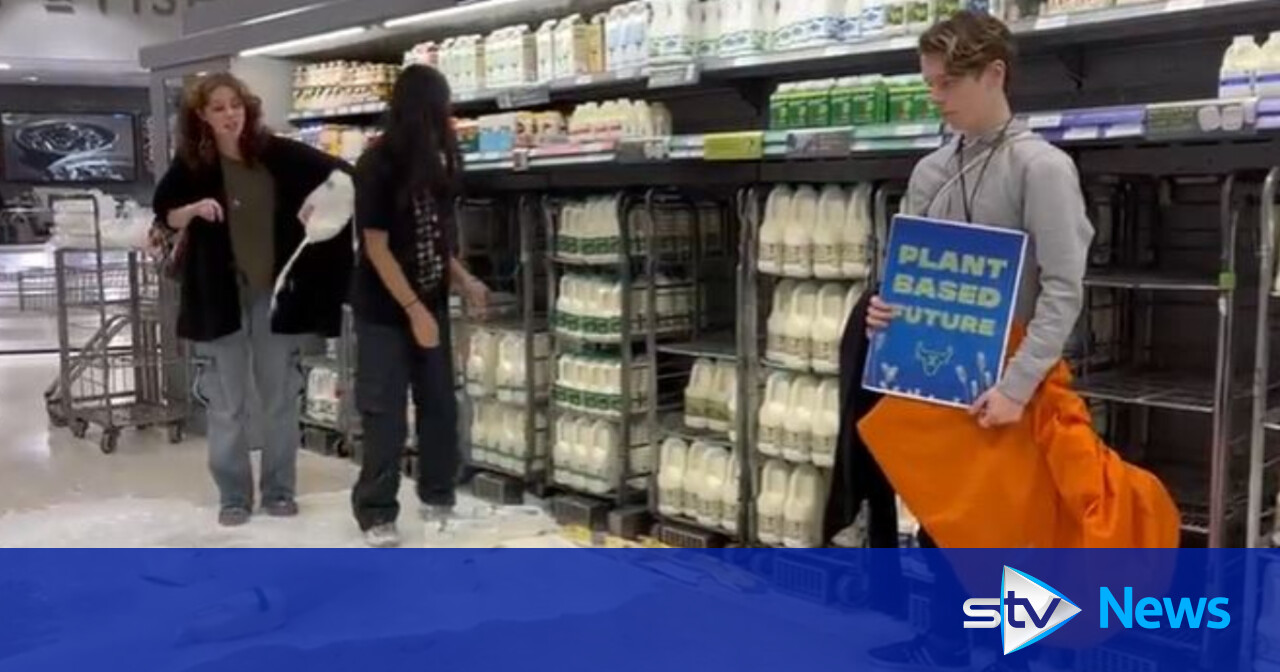 Animal Rebellion protestors pour milk over shop floors across UK | STV News