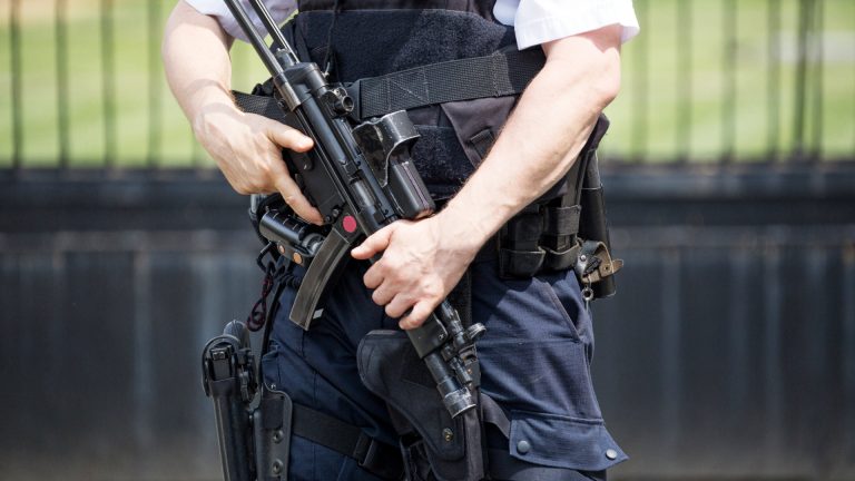 Man arrested after armed police called to 'disturbance with weapon ...