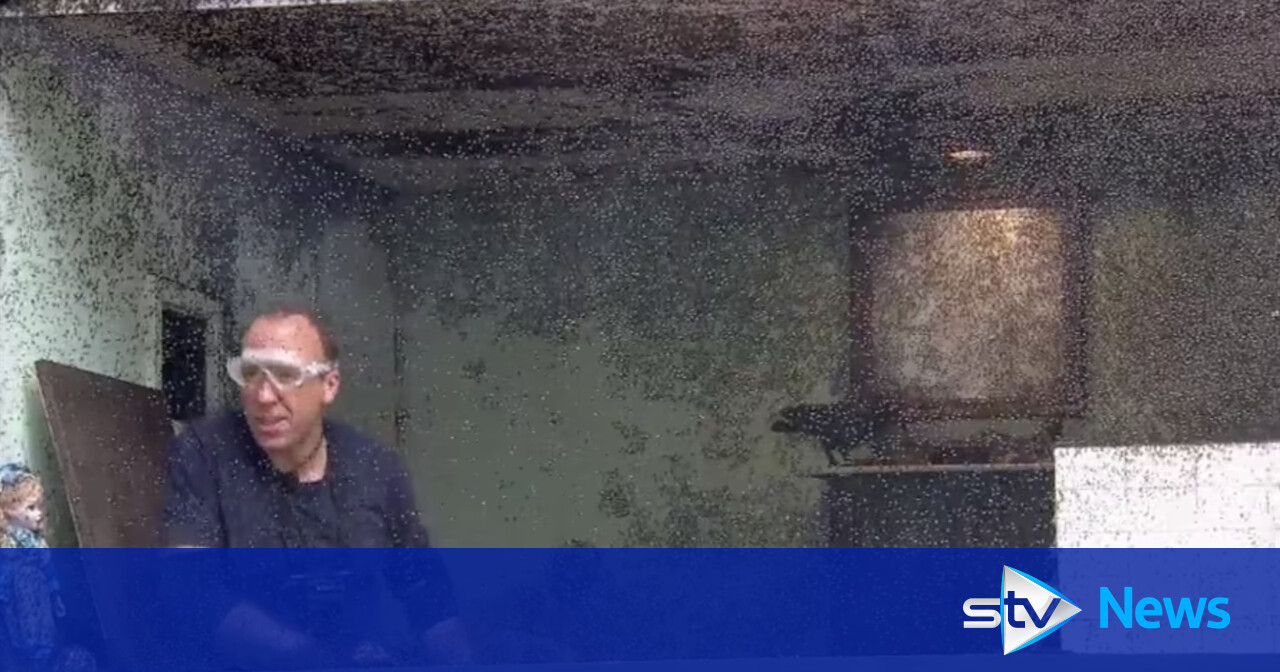 Matt Hancock plunges into livers covered by millions of flies in latest ...