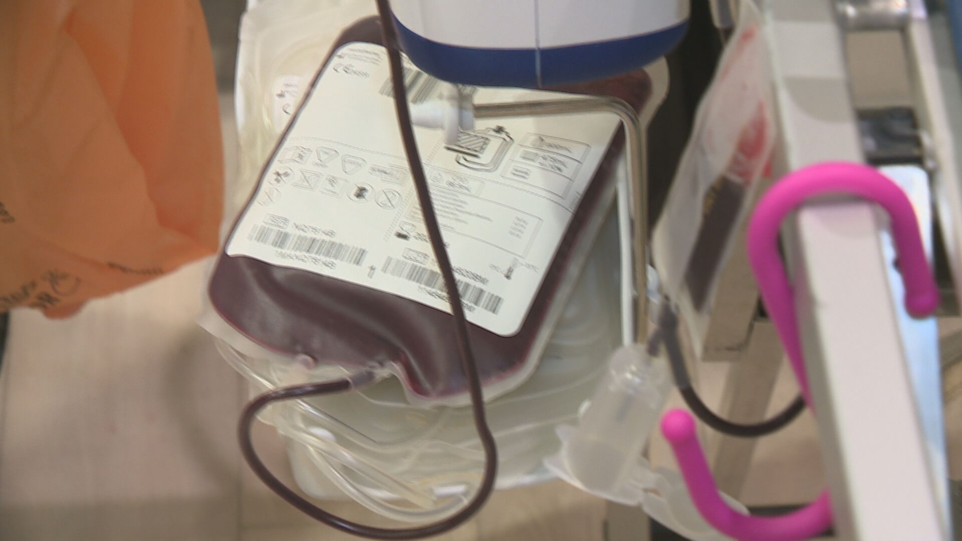 Experts hail new Edinburgh blood stem cell donation service that 'could ...