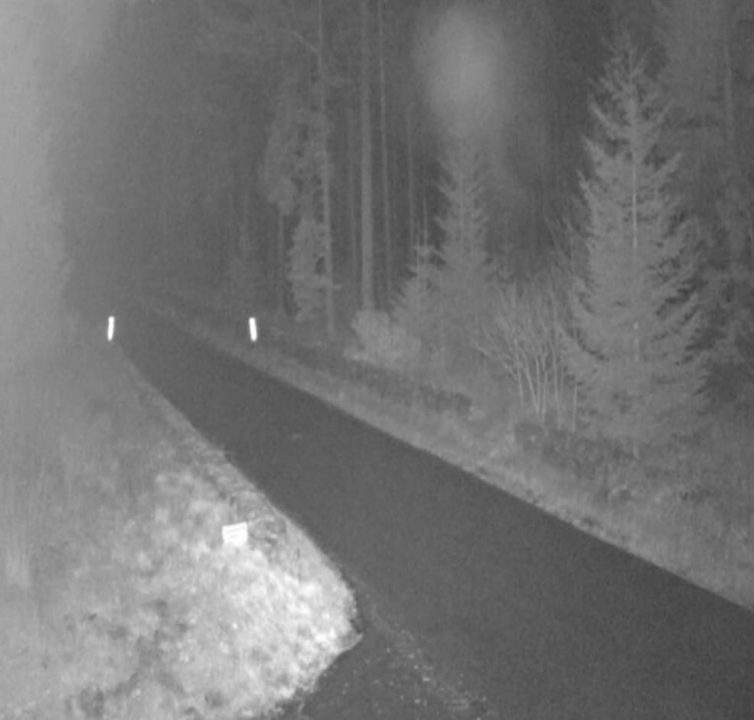 Snow and ice weather warning: Blizzards and freezing cold Arctic air ...