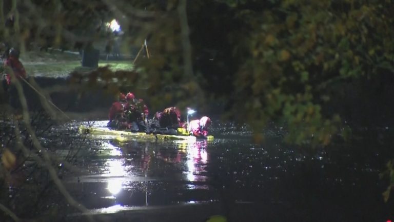Police officer tried to 'punch through ice' to save children who died ...