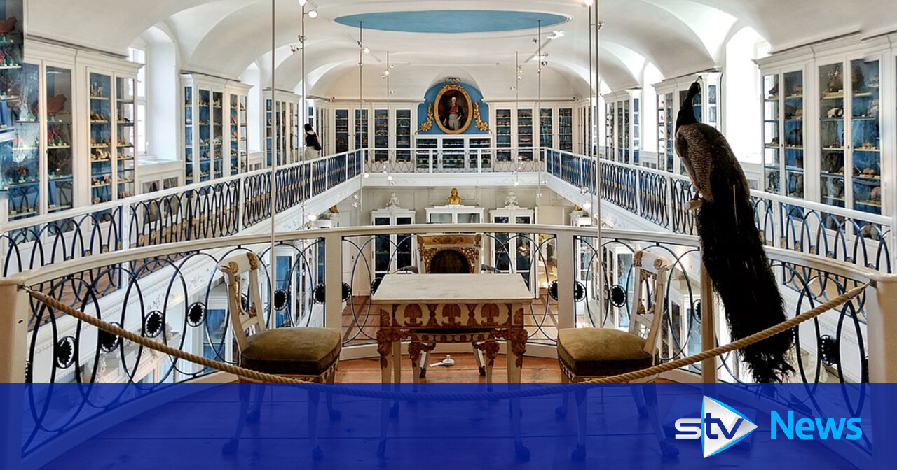 New pterosaur with more than 400 teeth unearthed in Germany on display ...