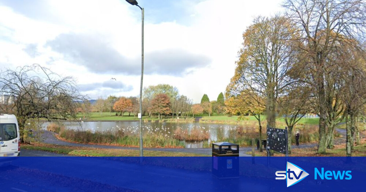 Warning as more than a dozen swans die in suspected bird flu outbreak ...