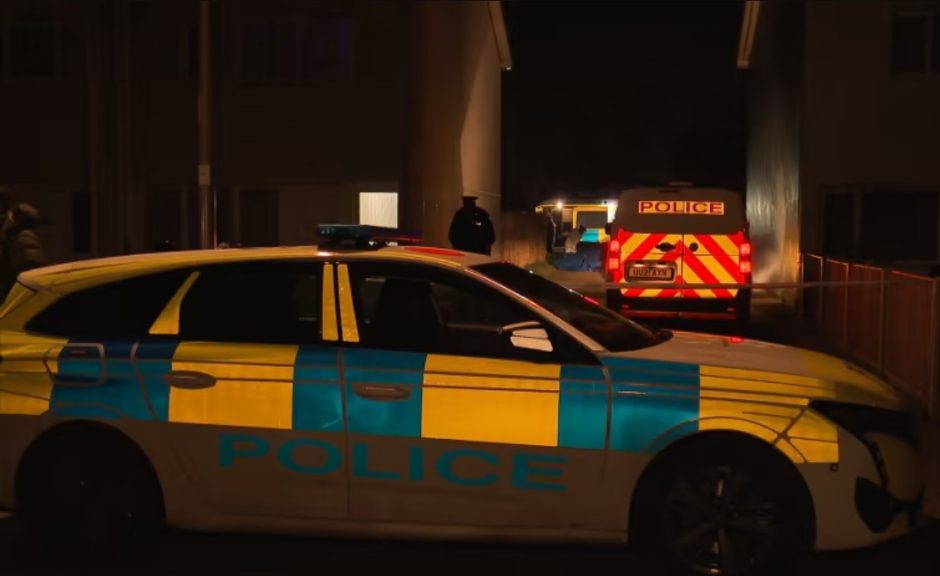 Dog that mauled four-year-old girl to death at Milton Keynes home 'was ...