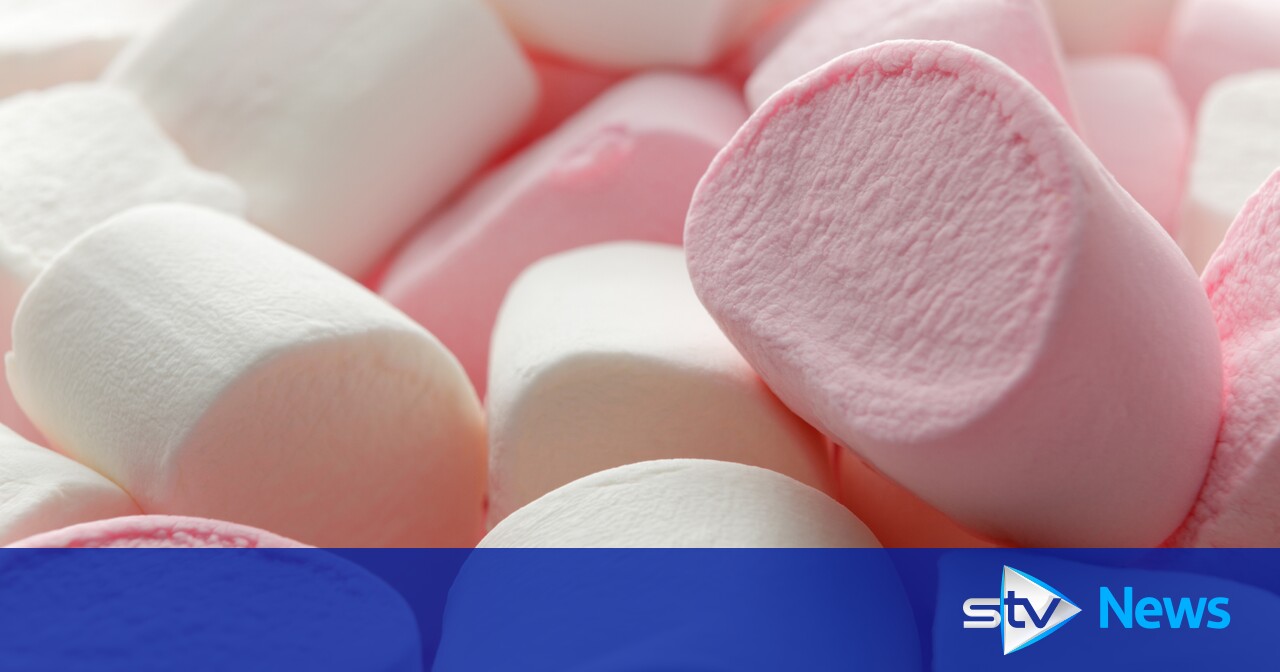 Fife housing association fined £100,000 over woman who choked to death ...