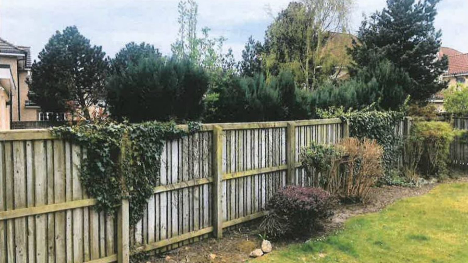 Neighbour dispute over high hedge goes to Scottish Ministers as East ...