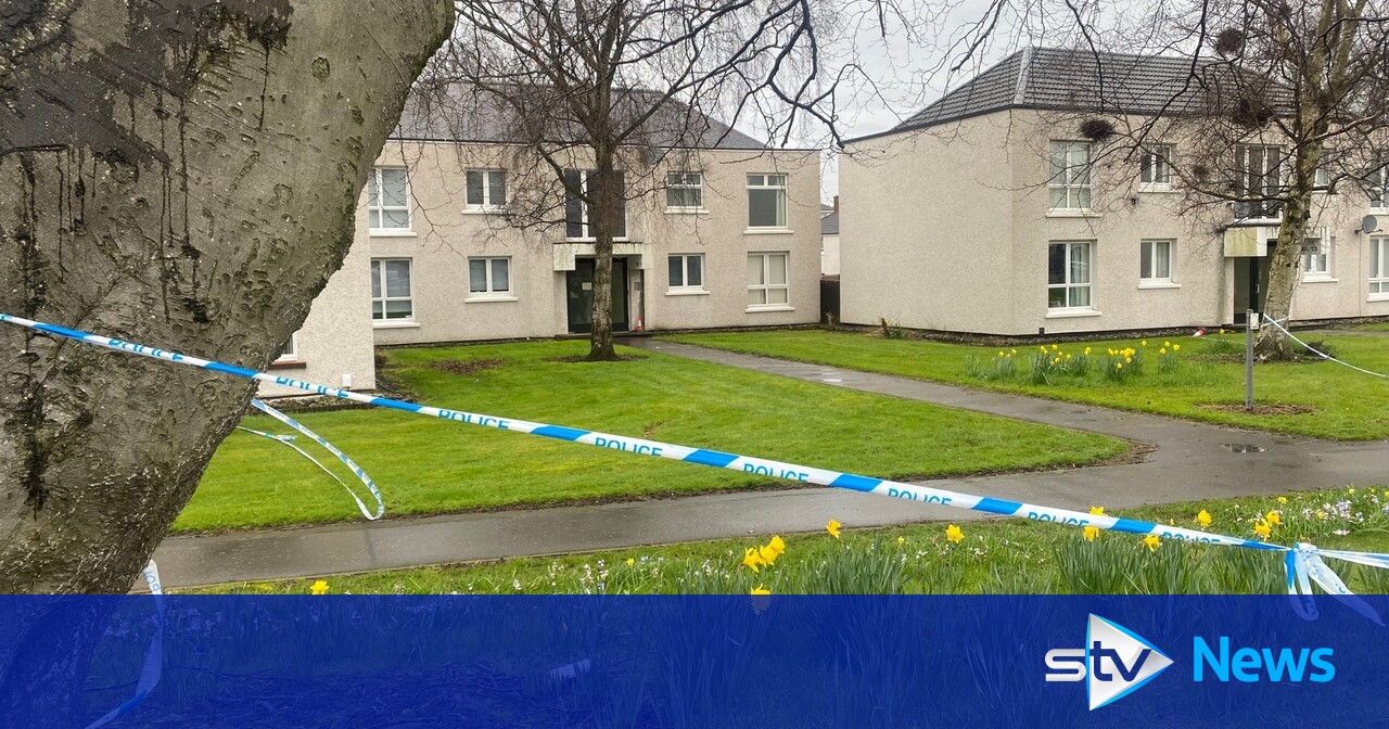 Four arrests made amid murder enquiry after woman's body found in Ayr ...