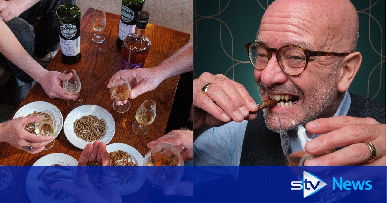 Man overcomes fear of bugs after eating scorpions and locusts with ...